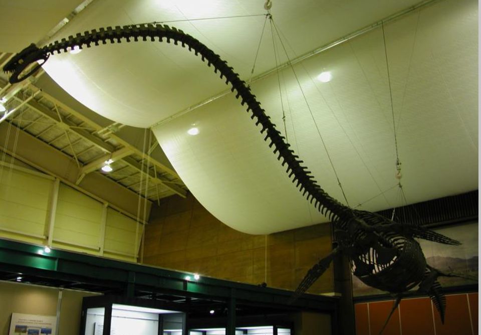 北海道博物館の所要時間はどのくらい?アイヌ文化や歴史を学ぼう | これちょっと気になる