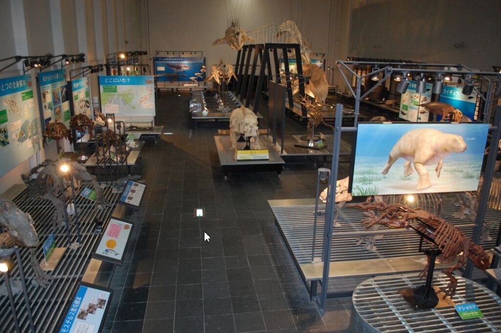 北海道博物館の所要時間はどのくらい?アイヌ文化や歴史を学ぼう | これちょっと気になる